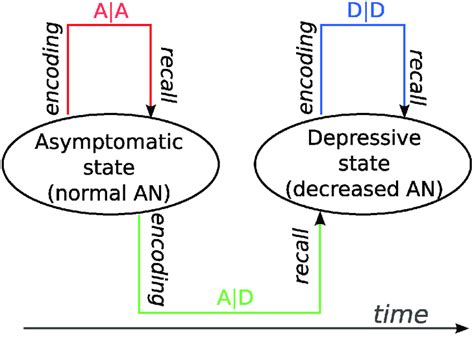 Three Scenarios Of Memory Storage And Retrieval In The Model The Rate Download Scientific