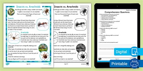 First Grade Insects Vs Arachnids Reading Comprehension