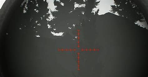 Zryachiy Album On Imgur