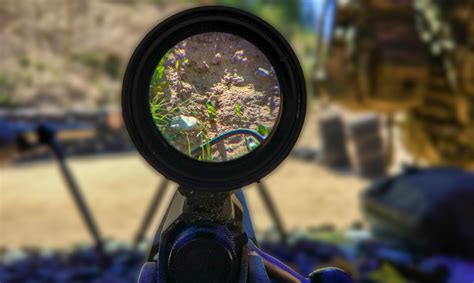 Understanding And Correcting Parallax The Shooters Log