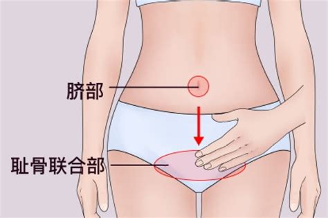 尿潴留按摩膀胱手法图片医疗图片素材高清图片素材