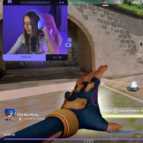 Browser Webcam And Event Rotator Widget 8 Color Cute Retro Webcam Border With Sub Goal Labels