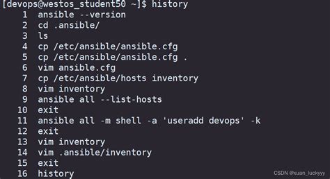 Ansible的安装与部署ansible安装部署 Csdn博客