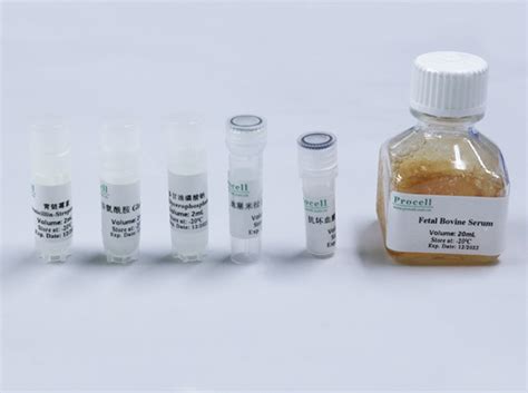 小鼠骨髓间充质干细胞成骨诱导分化培养基 武汉普诺赛生命科技有限公司 您身边的细胞专家【官方网站】