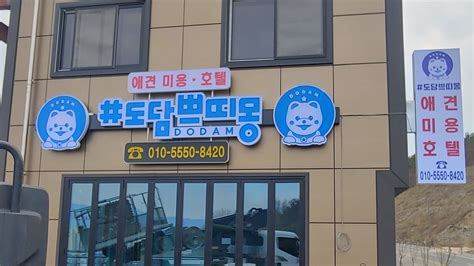 도담 쁘띠몽 애견 미용 호텔 용품 간판 Led 채널 간판 및 플렉스 돌출 간판 간판의품격 간판지도
