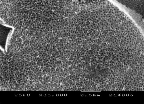 Sem Micrographs Of Ti6al4v Surfaces Anodized In 1m H 3 Po 4 0 5 Wt
