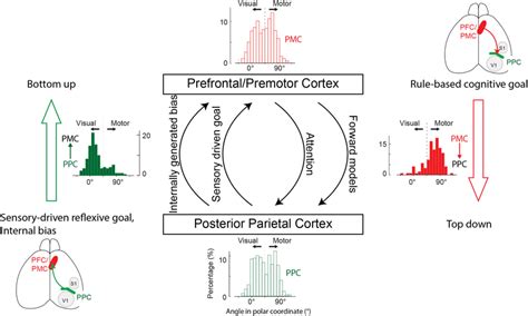 Proposed Parallel Information Flows Between The Pfcpmc And The Ppc