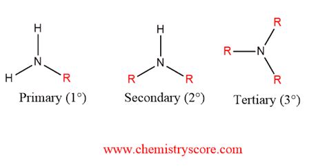 Primary Secondary Tertiary Amine