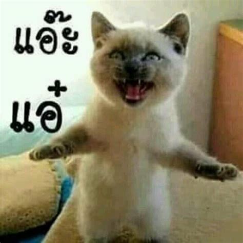 คำคมตลกๆ