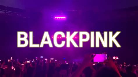 43세 손태영도 블링크였네 딸 리호와 굿즈 입고 블랙핑크 뉴욕 콘서트 관람 종합 텐아시아