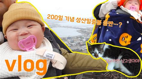 육아육묘vlog 6개월아기 3살남매묘 제주도 2박 3일 여행 ️ 여행 짐🧳 리스트 여행 전 고양이 집사🤵의 할 일
