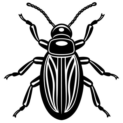 Bark Beetle Insect Flat Vector Illustration On White Background