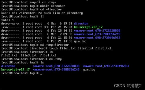 在 tmp目录下，新建目录director新建三个txt文件，分别为file1 txt，file2 txt file3 txt，用vi编辑器