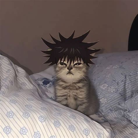 Megumi Cat Cat Icon Anime Cat Anime Kitten