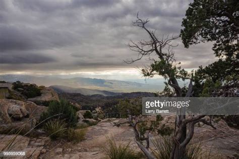 Larry Silva Photos And Premium High Res Pictures Getty Images