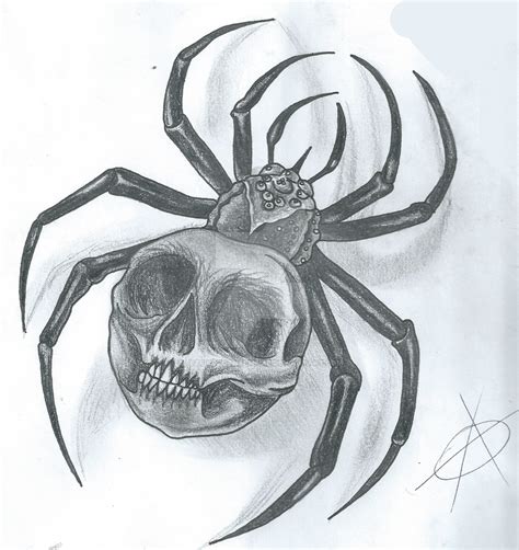 Паук нарисованный карандашом 76 фото