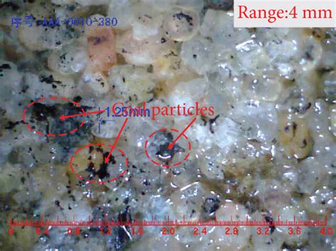 Distribution Of Pulverized Coal Particles In Proppant Pack A