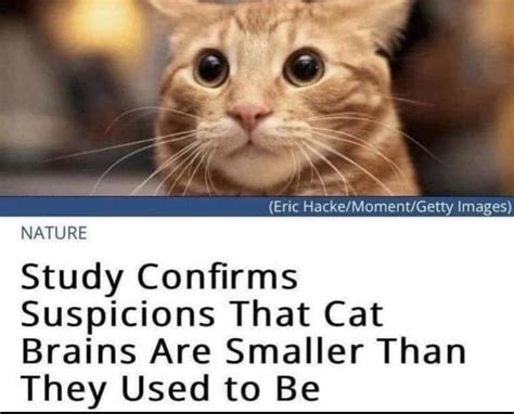 886 Best R Wunkus Images On Pholder Hateful Wunk