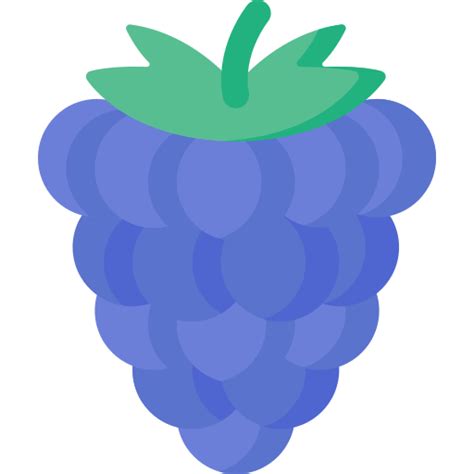 Raspberry Special Flat Icon