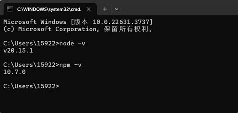 Windows系统下载、部署nodejs与npm环境的方法windows Npm Csdn博客