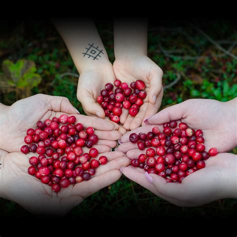 FIBONACCI DAY November National Today