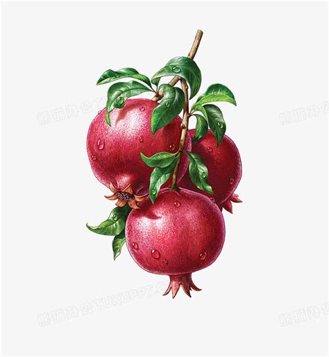 Png Png