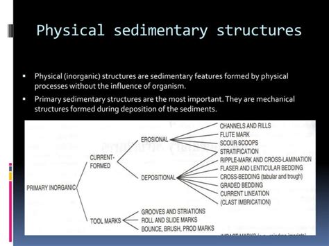 Sedimentary Structures Group Presentation Pptx