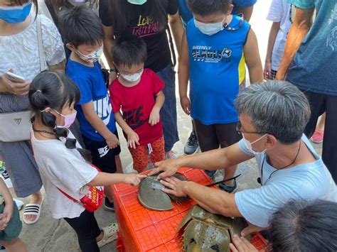 邂「鱟」金門！移民署邀新住民守「鱟」幸福 金馬 地方 Nownews今日新聞