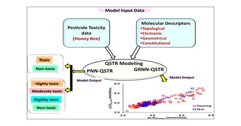 qstr modeling for qualitative and quantitative toxicity predictions of