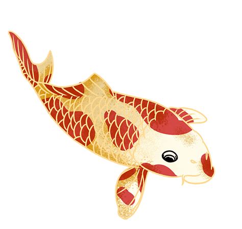 鱼png 9