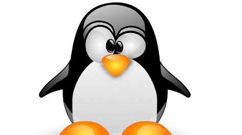 Linux Server Administration Made Easy With Hands On Training