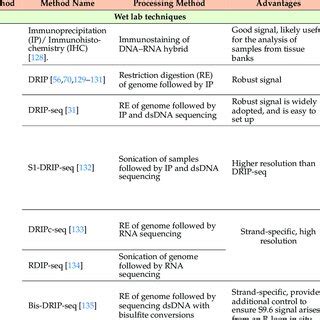 Diagnostic Tools Used To Detect R Loops And R Loop Binding Proteins Download Scientific Diagram