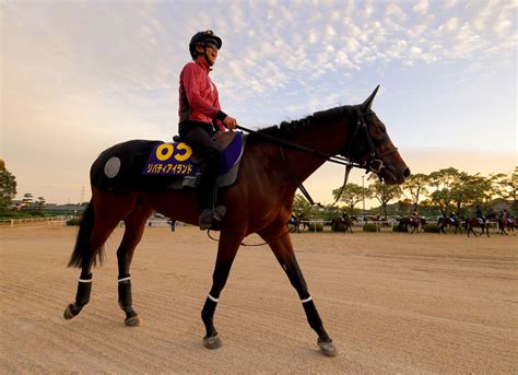 【注目馬動向】リバティアイランドが香港カップと香港ヴァーズに予備登録 スポーツ報知