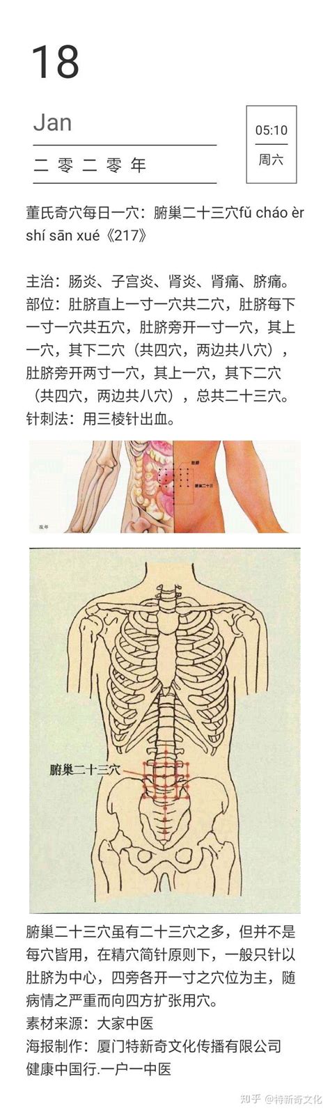 董氏奇穴每日一穴：腑巢二十三穴fǔ Cháo èr Shí Sān Xué《217》 知乎