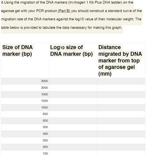 Solved Using The Migration Of The Dna Markers Invitrogen Kb Plus Dna Ladder On The Agarose