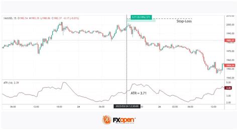 Stop Hunting How Not To Fall Into A Trap Market Pulse
