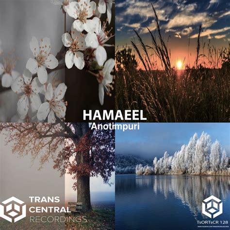 Anotimpuri Hamaeel Song Lyrics Music Videos And Concerts