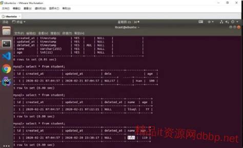 难得的Go语言实战好课 Go语言全栈开发基础 Golang图像存储业务 框架实操 Go的微服务 Golang教程网