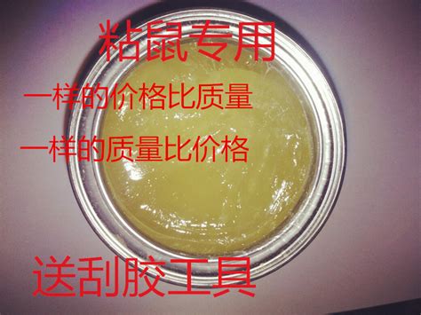 在家自制粘老鼠的胶水 第3页 大山谷图库