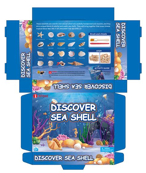 贝壳包装盒设计