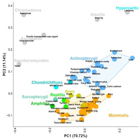 Figure S16a Principal Component Analysis Of Relative Synonymous Codon