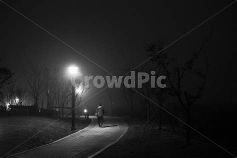 새벽 안개 산책로 사람 남자 사진이미지일러스트캘리그라피 퓨처작가