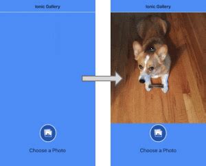 Ionic Native Accessing Ios Photos And Android Gallery Part I Ionic Blog
