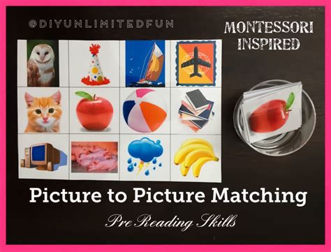 Discover 170 Aba Sortingcategories And Sorting Ideas Preschool