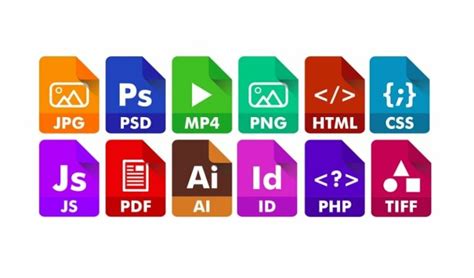 Understanding Different File Formats