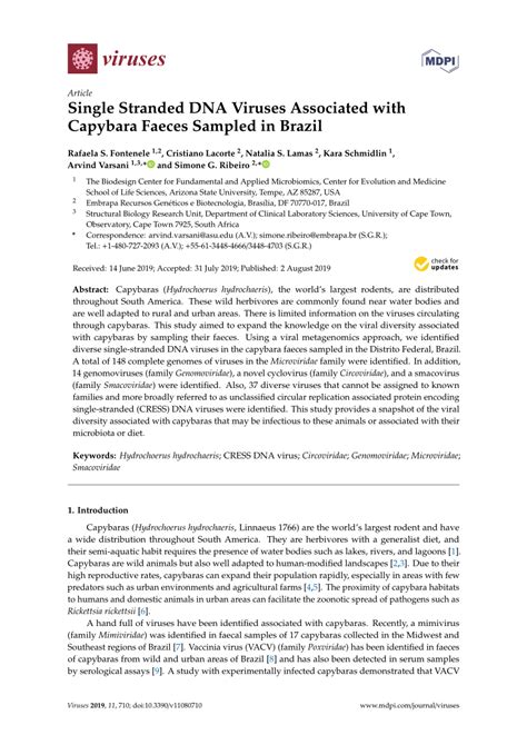 Pdf Single Stranded Dna Viruses Associated With Capybara Faeces
