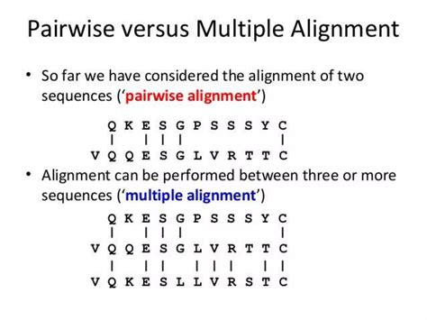 Ppt On Algorithm Ppt
