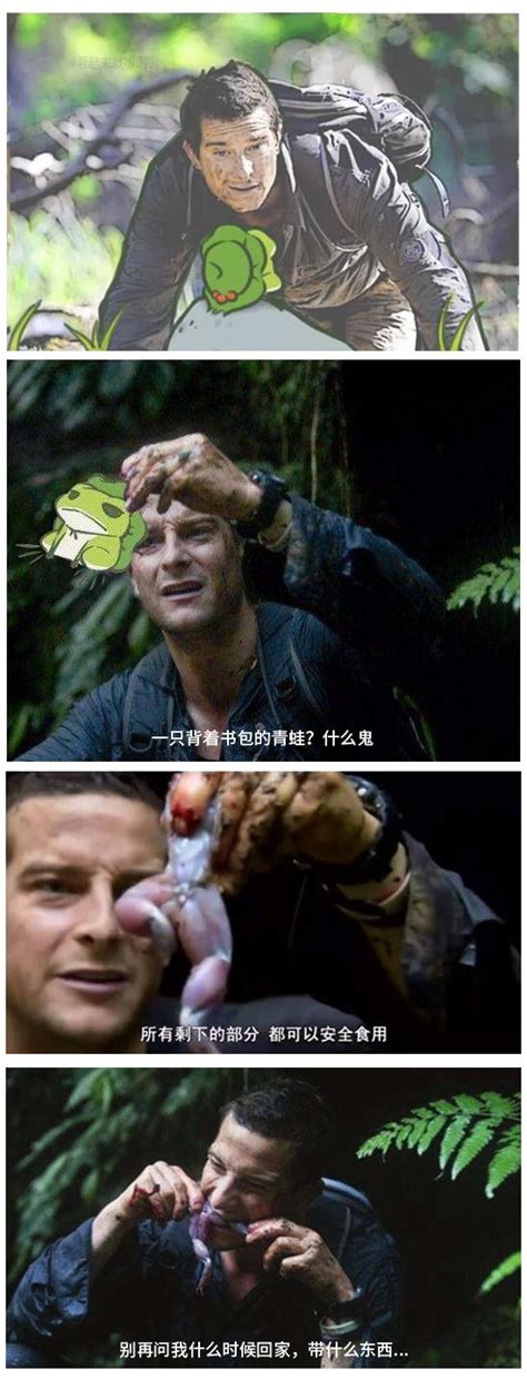 我的青蛙還沒回家，直到它遇見了貝爺 每日頭條