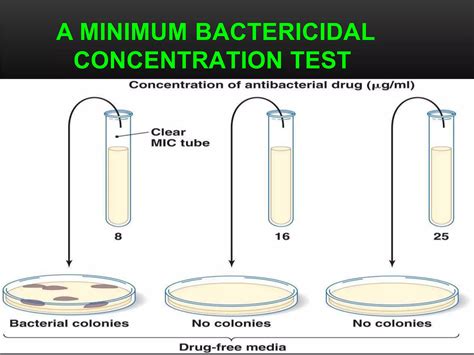Antimicrobial Assay Pptx