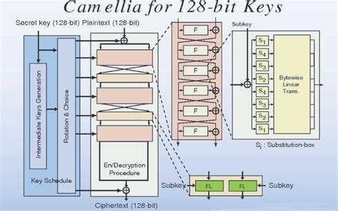 Top 20 Popular Cryptographic Algorithms In Use Techy20